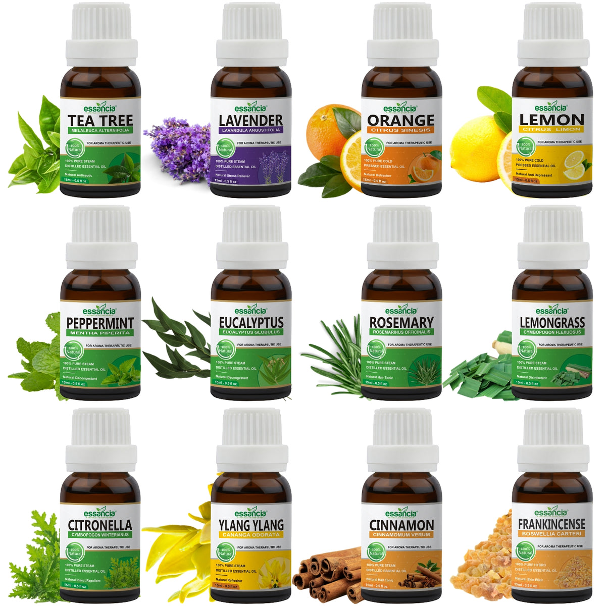 Pack of 12 Essential Oils (Tea Tree, Lavender, Lemon, Orange, Peppermi ...