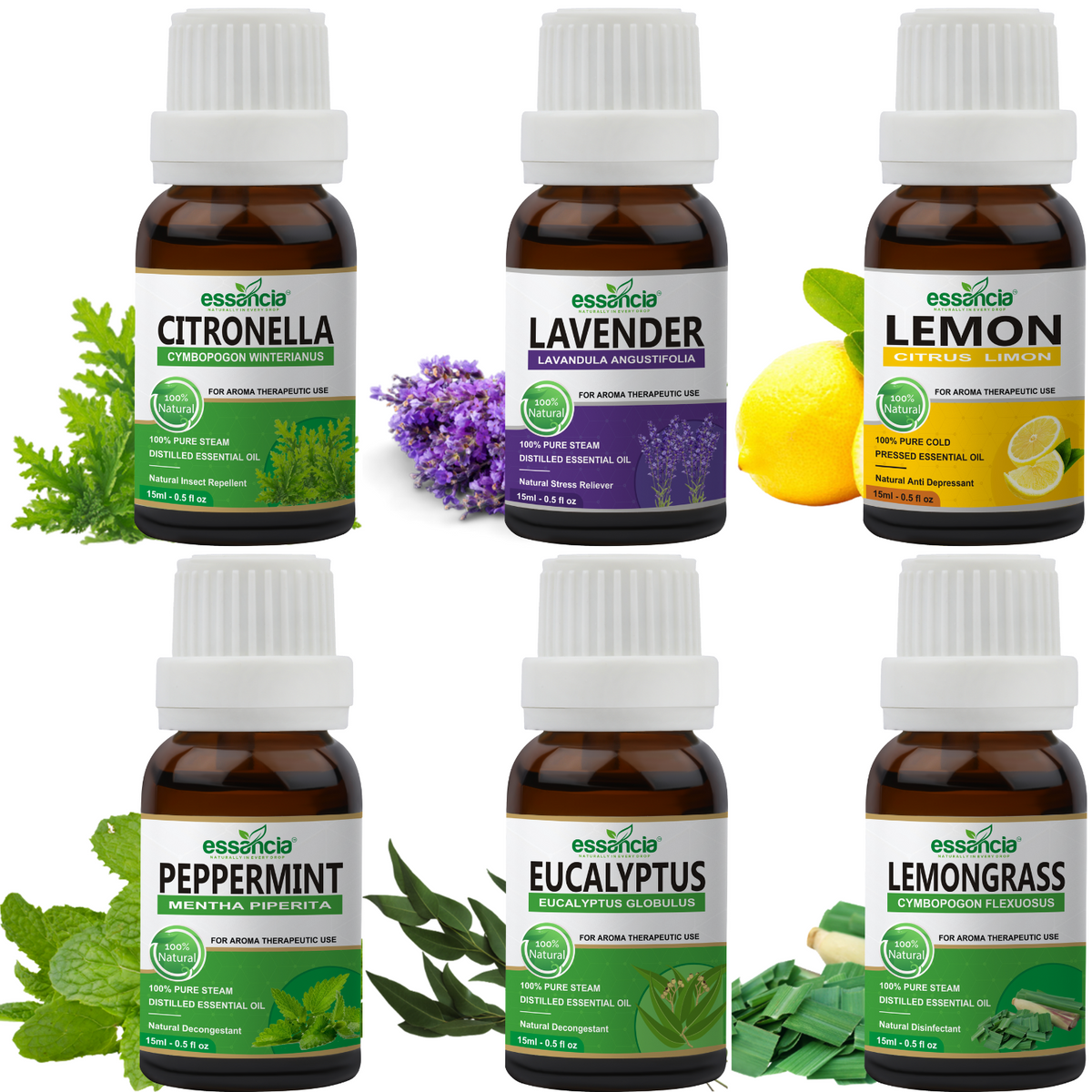 Pack of 6 Essential Oils (Peppermint, Lavender, Lemonrass, Eucalyptus ...